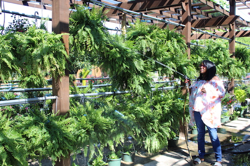 Plant Maintenance a Focus of Spring Market